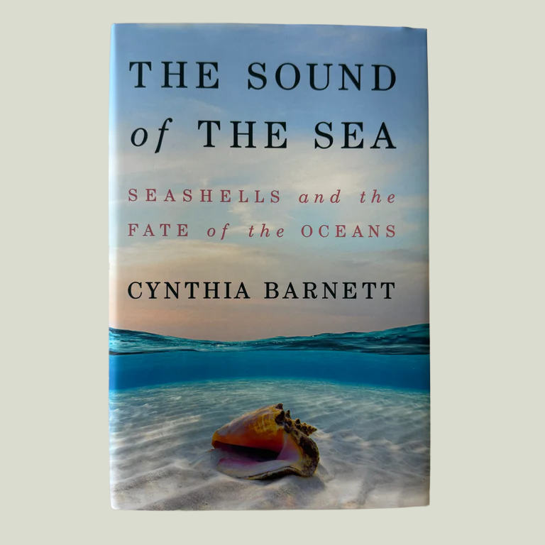 The Sound of the Sea – Bailey-Matthews National Shell Museum & Aquarium