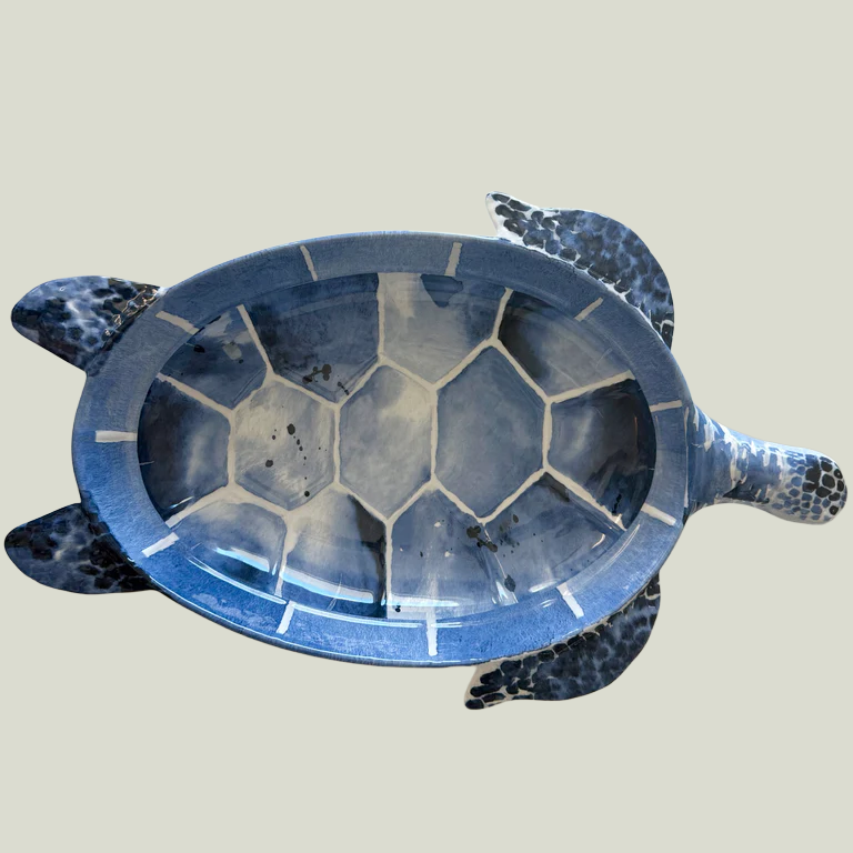 Sea Life 3-D Turtle Bowl – Bailey-Matthews National Shell Museum & Aquarium